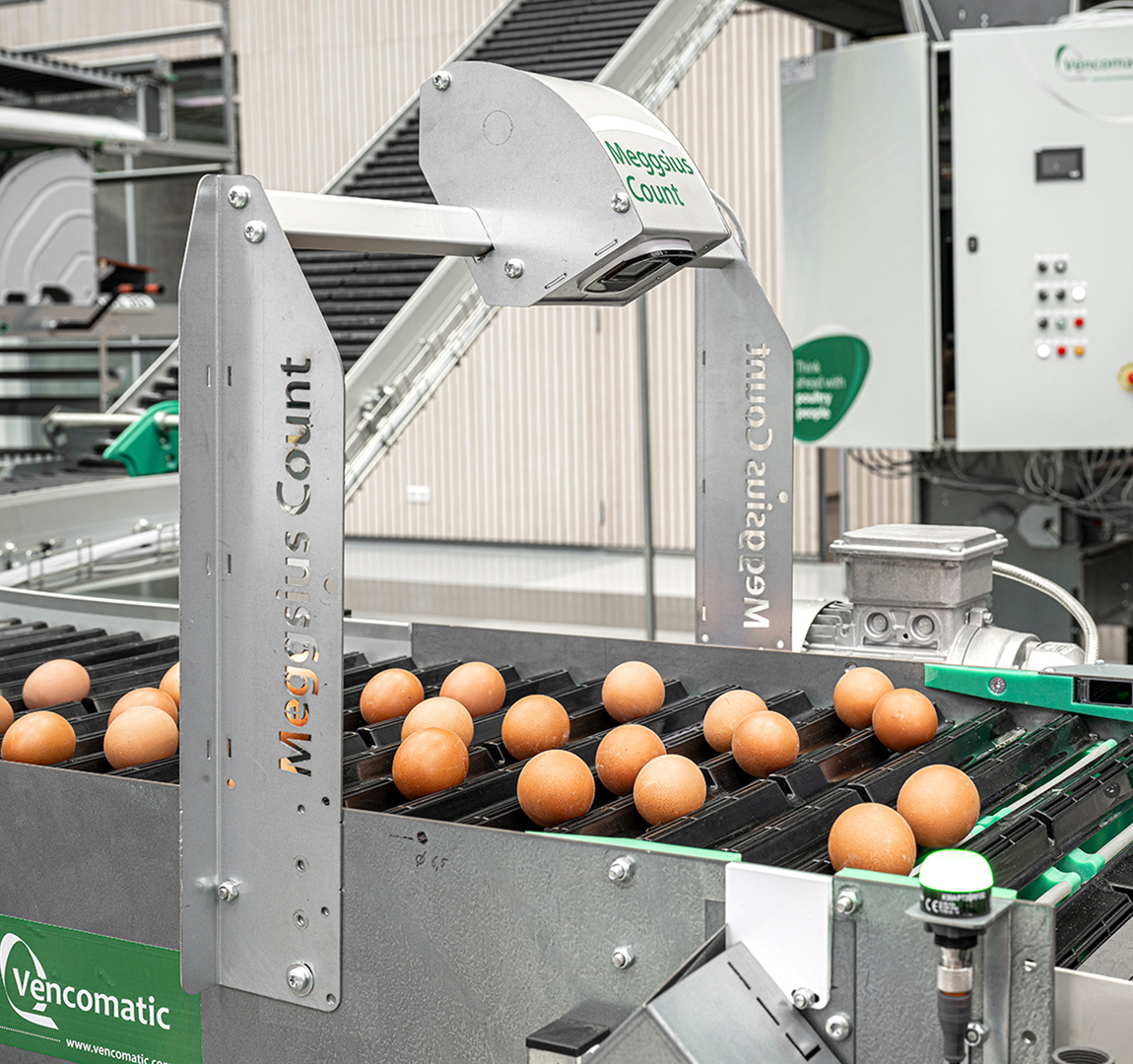 Meggsius Count - Vencomatic Group